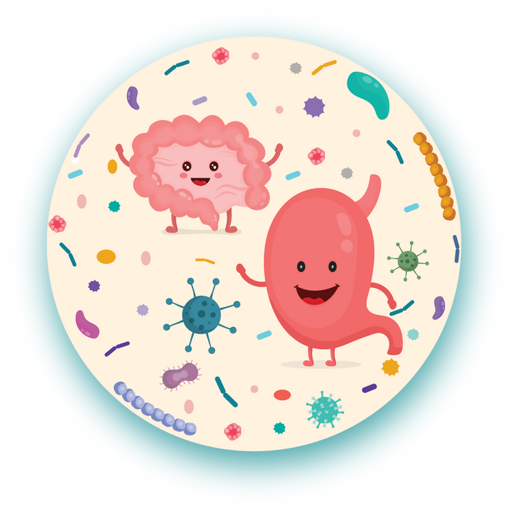 Clenz Journey – Body Gold